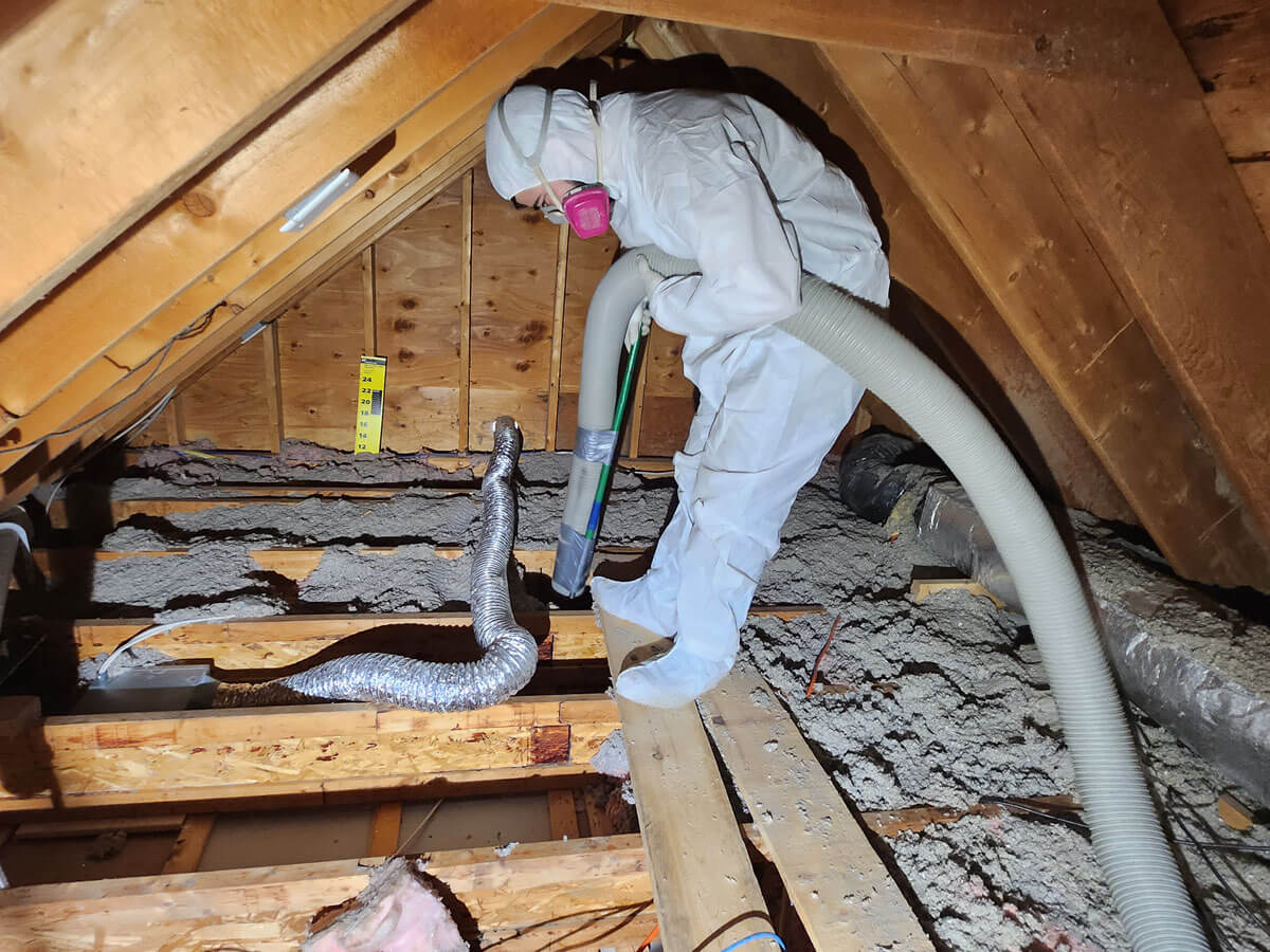 Crawl Space Insulation Removal – Star Insulation Removal