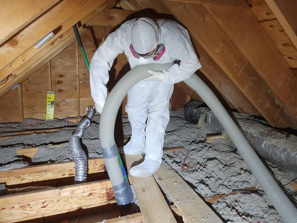 About Us – Star Insulation Removal